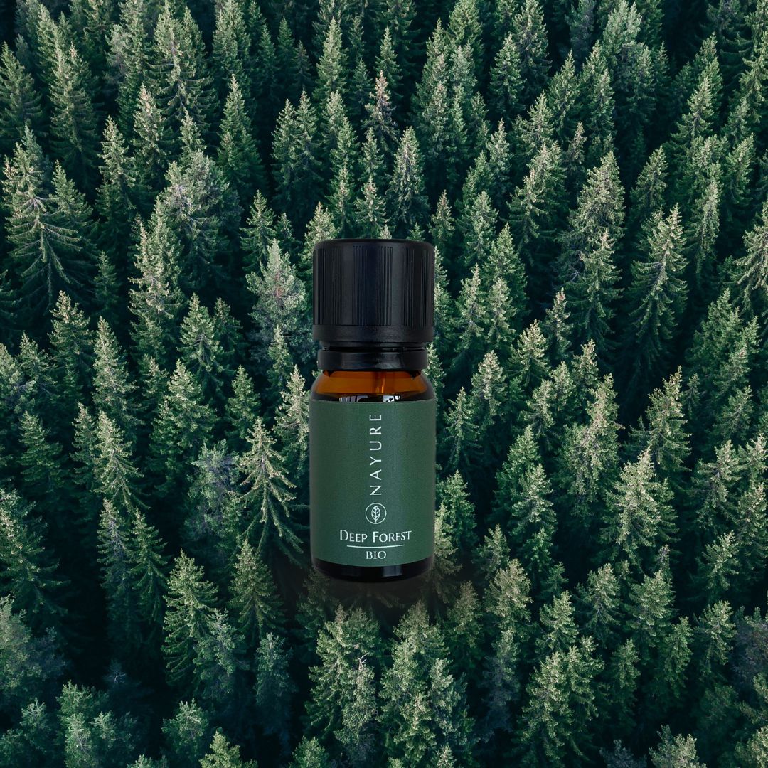 Deep Forest Duftmischung Bio – Nayure Wellness